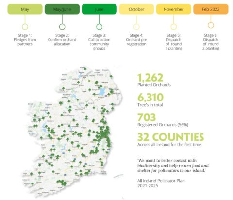 All-Ireland Pollinator Plan - Ardmac